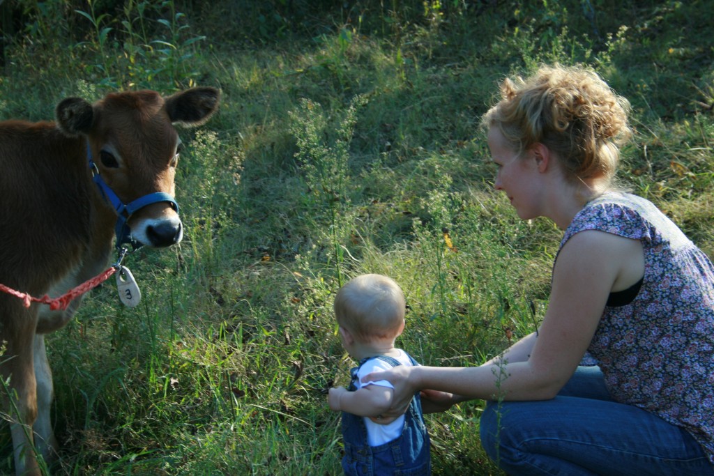 The Return of the Family Milk Cow | Lani's Cup of Tea