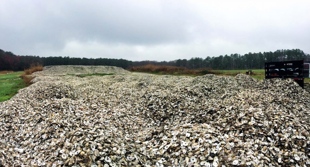 DC Refined: Recycled Half Shells Do a Whole Lot of Good | Lani's Cup of Tea